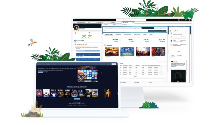 Salesforce Subscriber Lifecycle Management: The Definitive Guide ...